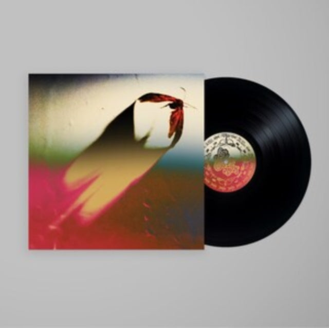 SCOWL - ARE WE ALL ANGELS (Vinyl LP) – SoundsLikeVinyl