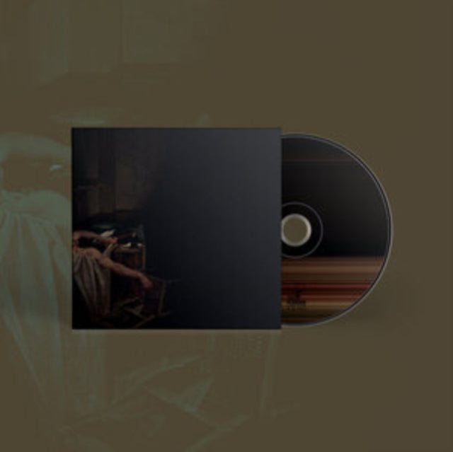 HAVE A NICE LIFE - VOIDS (Music CD) – SoundsLikeVinyl