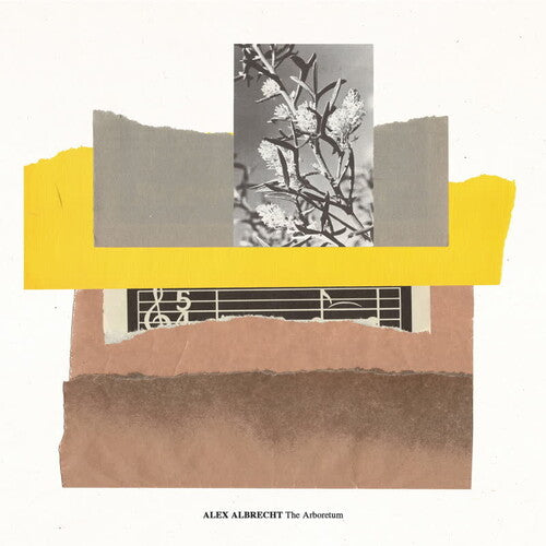 Alex Albrecht - The Arboretum (Extended Play Vinyl) – SoundsLikeVinyl