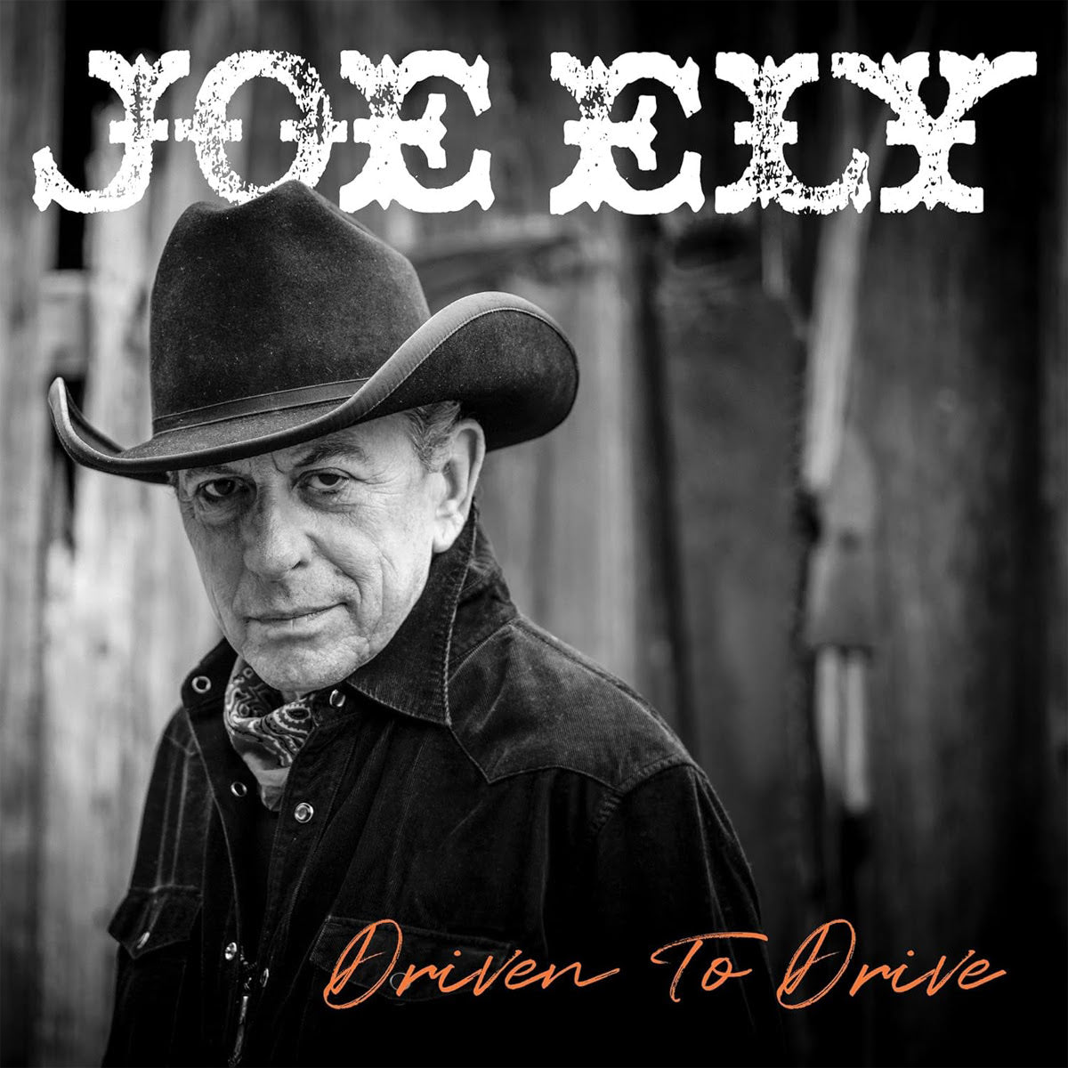 ELY,JOE - DRIVEN TO DRIVE (SUNBURST VINYL) (Vinyl LP) – SoundsLikeVinyl