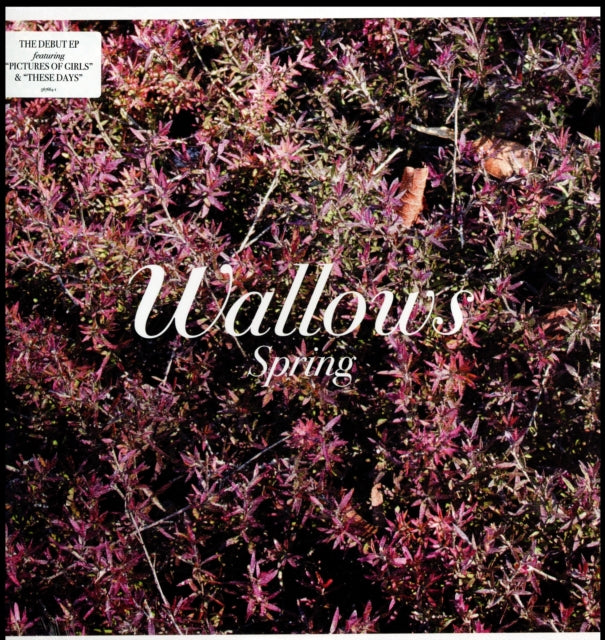 WALLOWS - SPRING EP (X) (PINK & GREEN VINYL) (Vinyl LP) – SoundsLikeVinyl