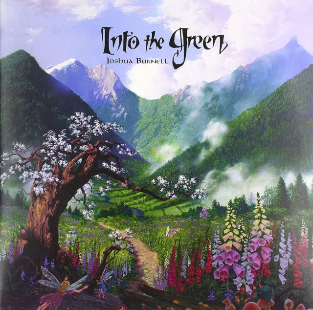 BURNELL JOSHUA - INTO THE GREEN (Vinyl LP) – SoundsLikeVinyl