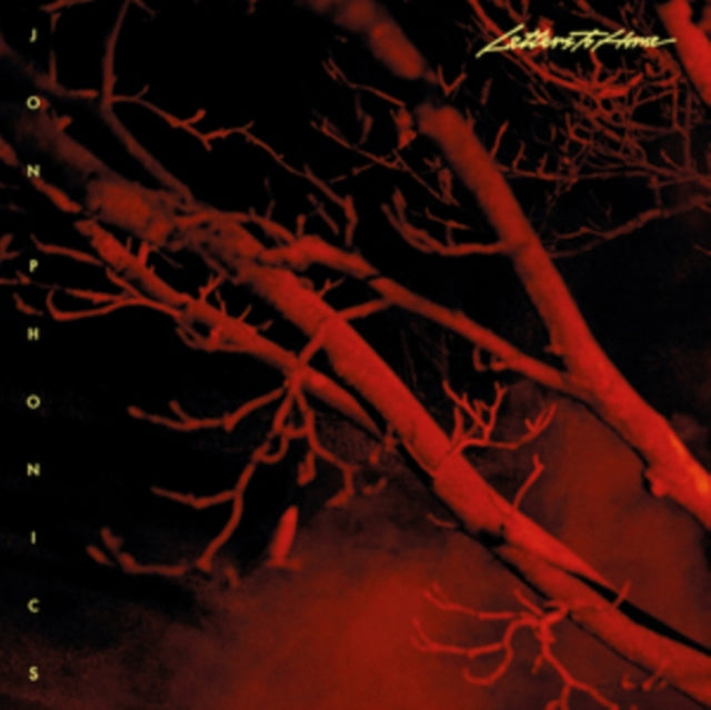 PHONICS,JON - LETTERS TO HOME (Vinyl LP) – SoundsLikeVinyl